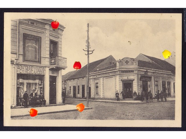 zajecar - prodavnica - stara razglednica