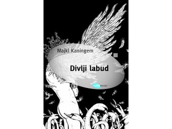 Divlji labud