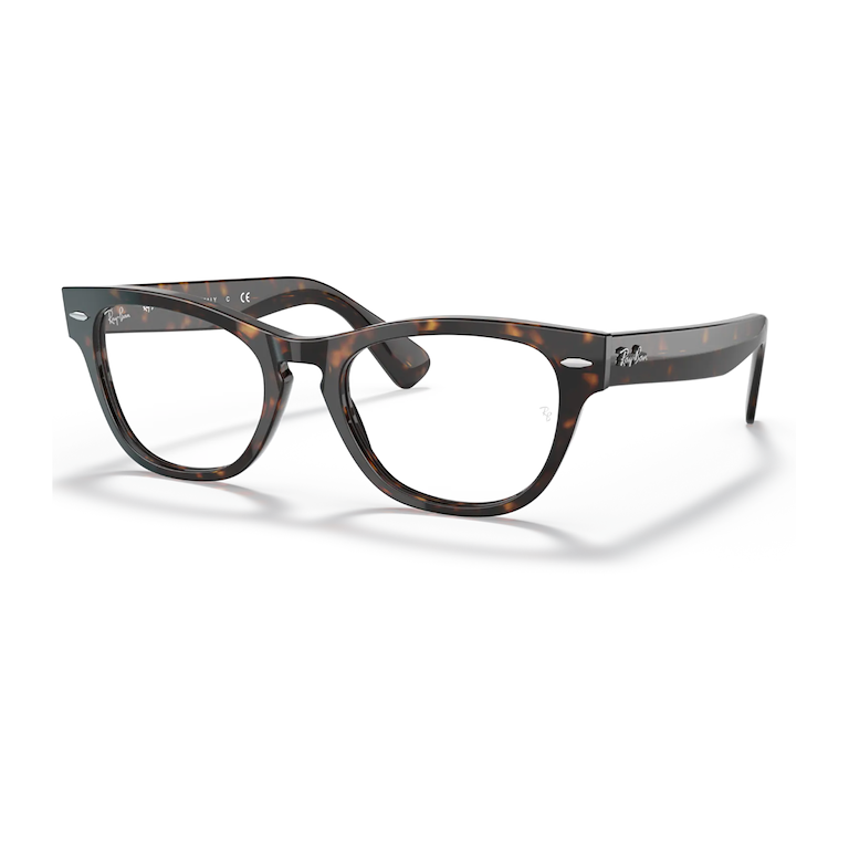 RAY BAN LARAMIE Okviri 0RX2201V 2012 51