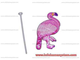 BALON SA DRZACEM, FLAMINGO