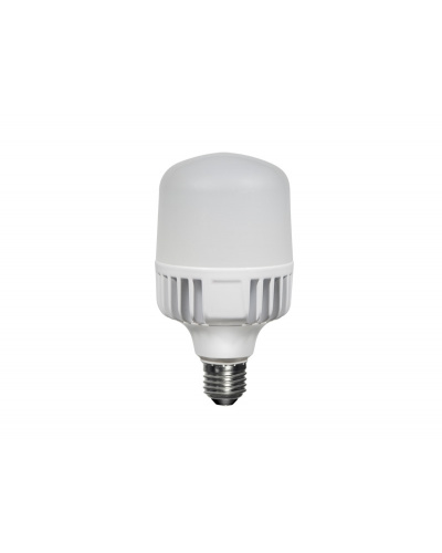 Led HP sijalica BB LINK 20W E27 6500K