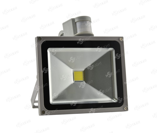 Led reflektor BR-6501-30W-S