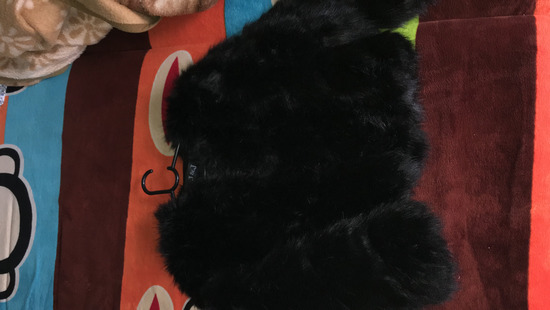 Bunda