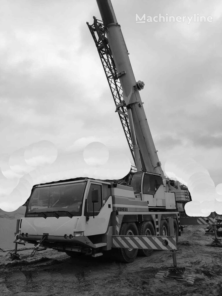 Liebherr LTM1060-2 pokretna dizalica