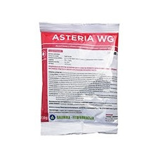 Asteria 40 gr