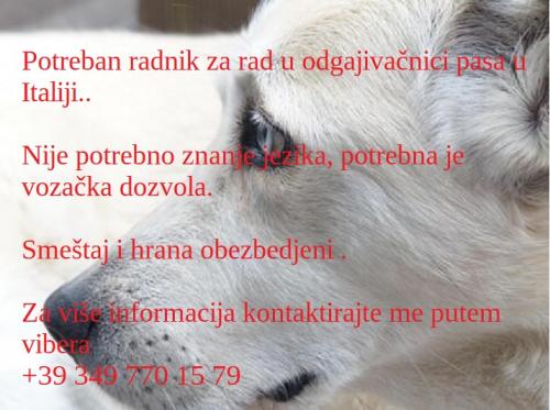 Radnik u odgajivačnici