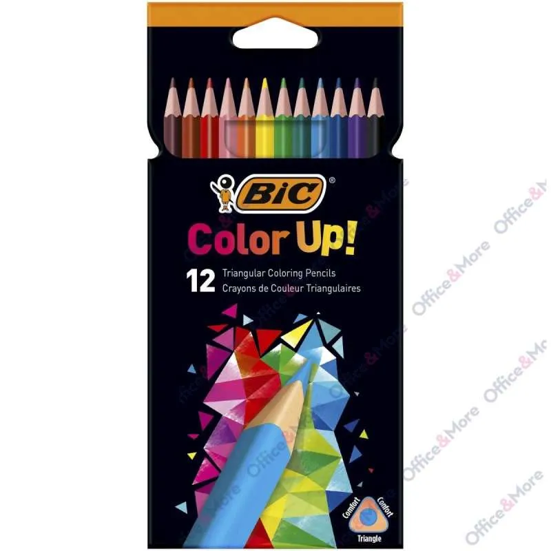 BIC DRVENE BOJE INTENSITY UP 1/12