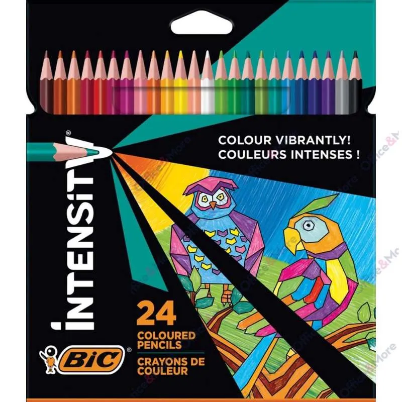 BIC DRVENE BOJICE
INTENSITY UP 1/24