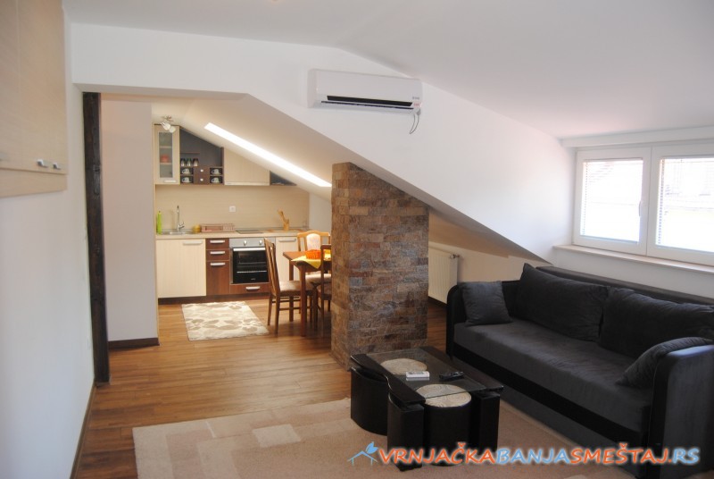 Apartmani u Vrnjačkoj Banji - Apartman Blagi