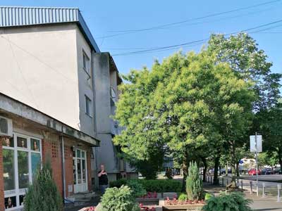 KLADOVO – Apartman Borak