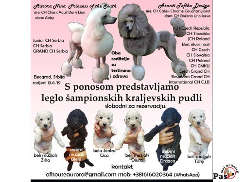 PUDLE