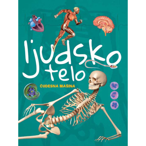 Ljudsko telo – čudesna mašina