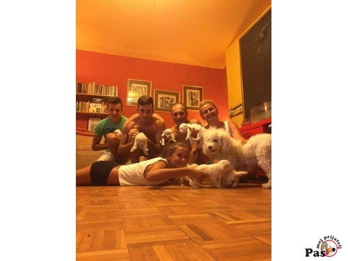 PUDLE