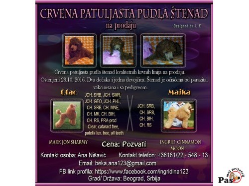 PUDLE