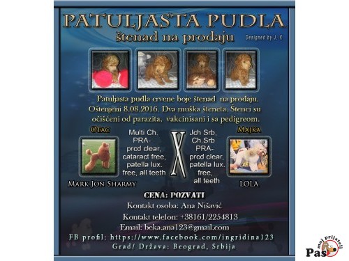 PUDLE