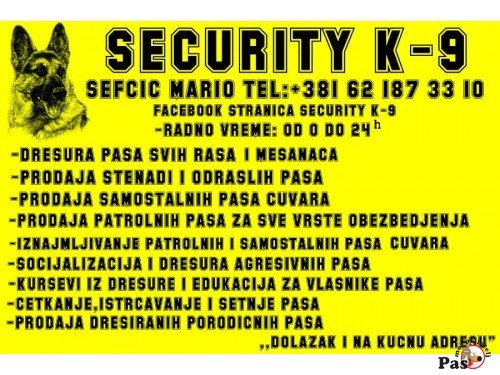 BELGIJSKI OVČAR-MALINOA