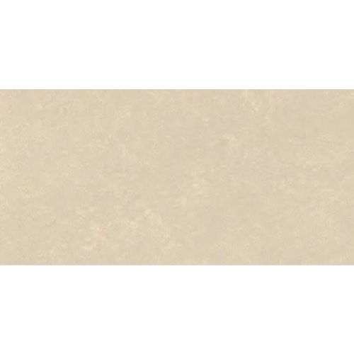 NEW TRADITION TAUPE 30,8x61,5 1,32