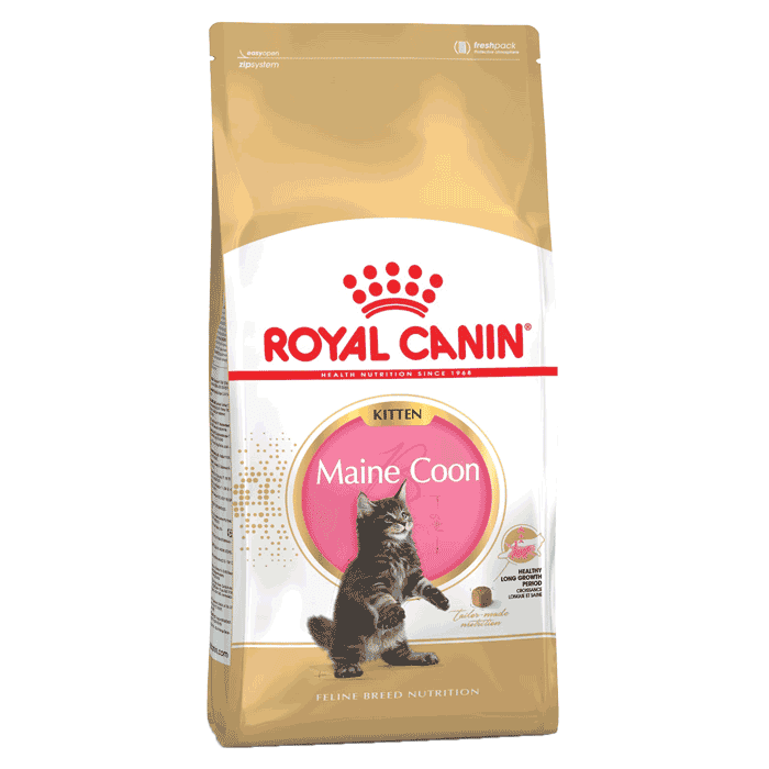 Royal Canin Breed Nutrition Kitten Maine Coon