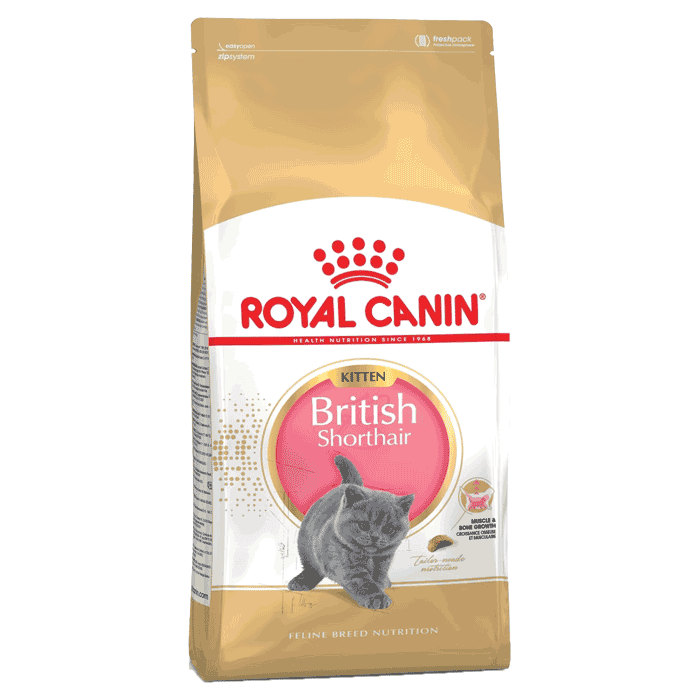 Royal Canin Breed Nutrition Kitten British Shorthair