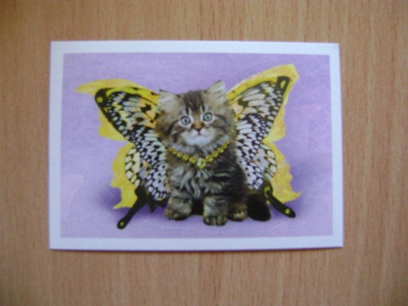 Puppy e Kitty Kuce I mace sličica broj 147