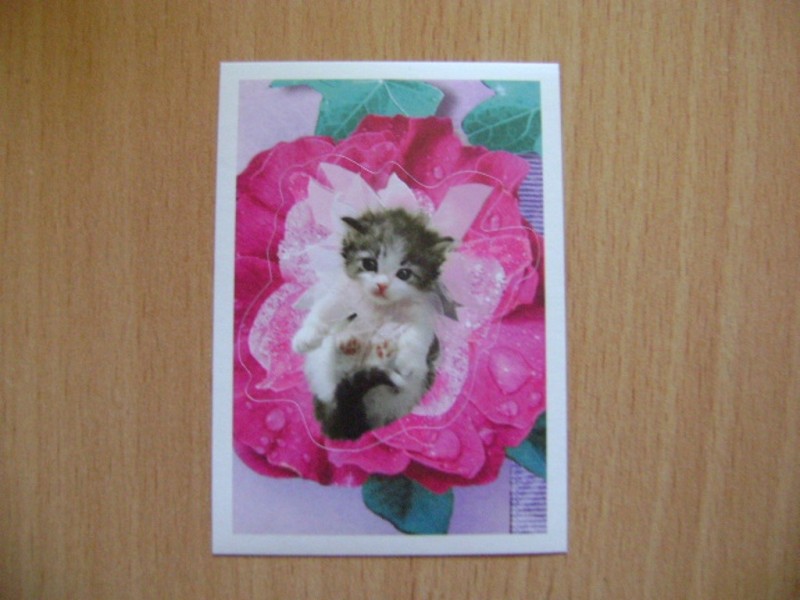Puppy e Kitty Kuce I mace sličica broj 150