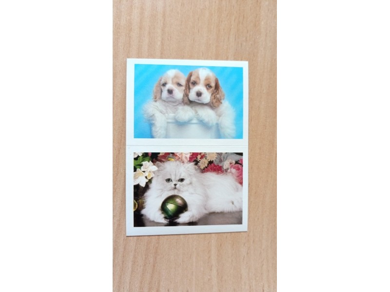 Puppy e Kitty Kuce I mace sličica broj 153