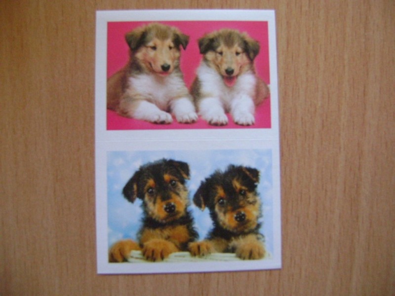 Puppy e Kitty Kuce I mace sličica broj 165