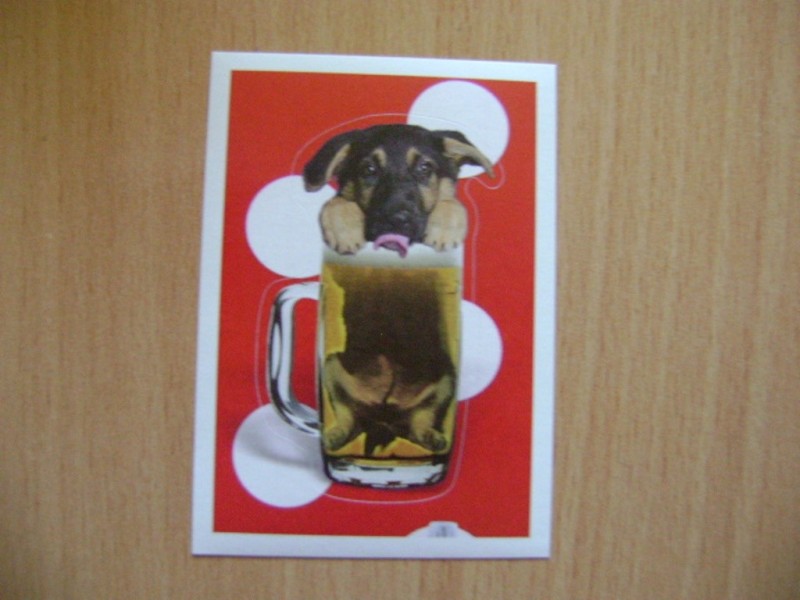 Puppy e Kitty Kuce I mace sličica broj 174