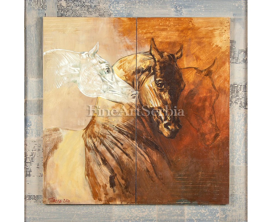 Konj i senke - Dragan Petrović Pavle