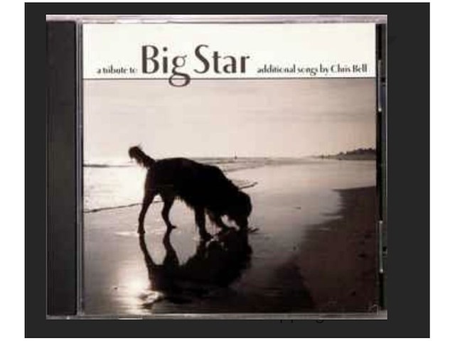 Big Star / Chris Bell tribute album (razni izvodjači)