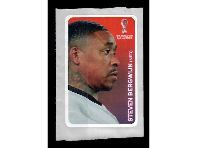 QATAR 2022 COCA COLA - STEVEN BERGWIJN