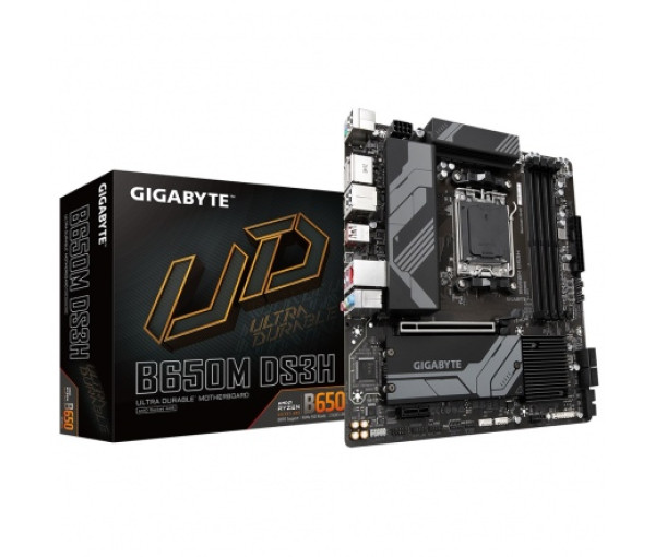 GIGABYTE B650M DS3H