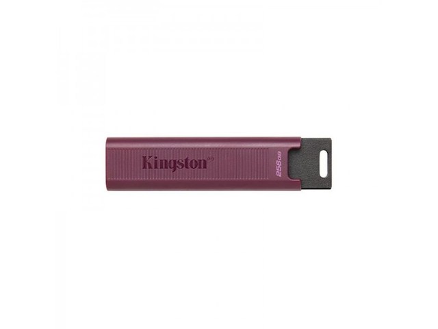 Kingston 256GB DataTraveler Max USB 3.2 flash DTMAXA/256GB