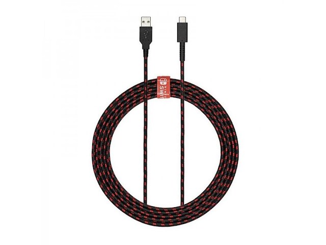 Nintendo Switch Charging Cable