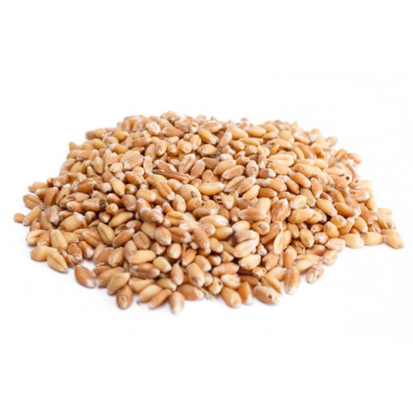 Pšenica merkantilni 10kg