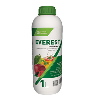 Everest 1 l