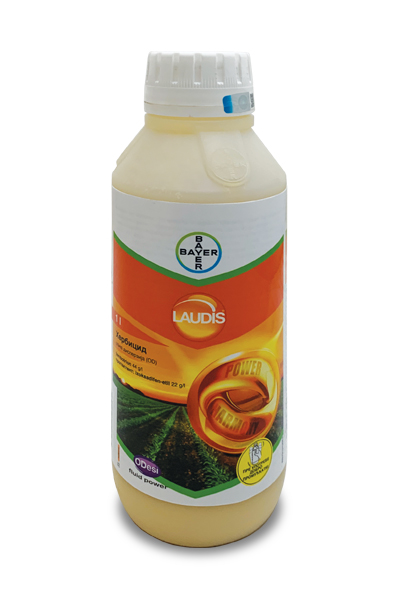 Laudis 1 l