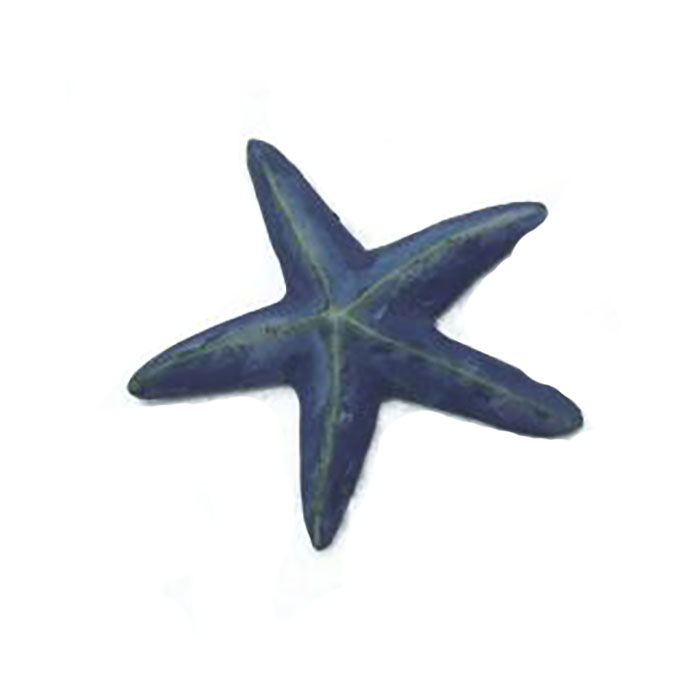 Nalepnica morska zvezda ZOS7601