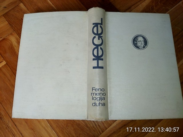 HEGEL, FENOMENOLOGIJA DUHA