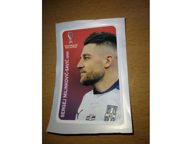 Panini FIFA 2022 Qatar CocaCola C 13