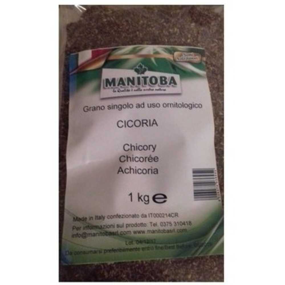 Manitoba seme cikorije 1kg