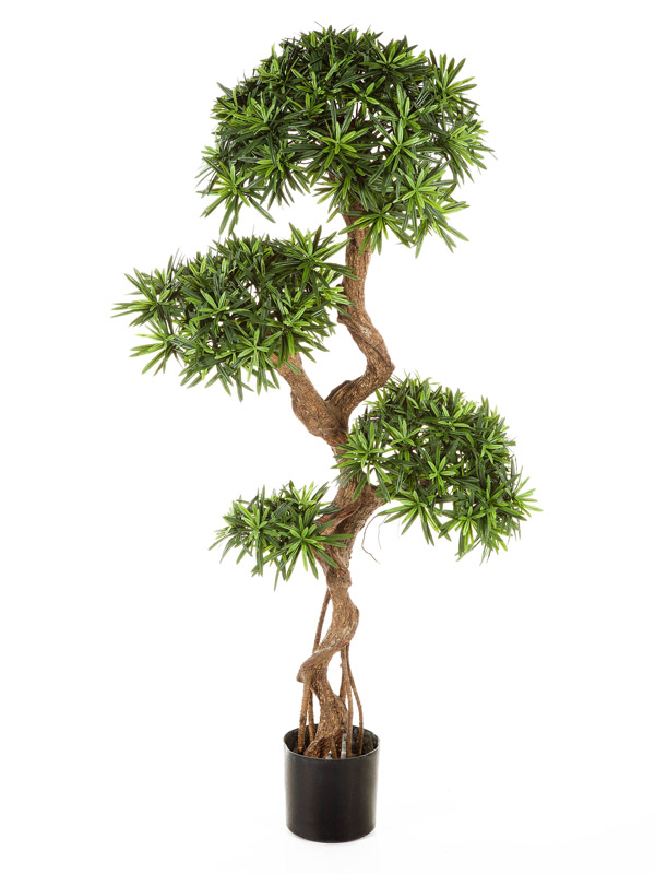 Veštački podokarpus bonsai