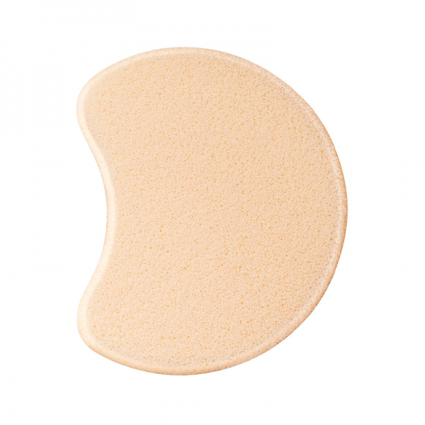 Foundation Sponge