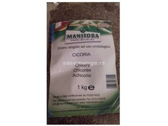 Manitoba seme cikorije 1kg