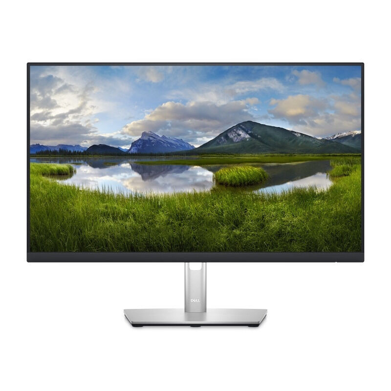 23.8 inch P2422H Professional IPS monitor