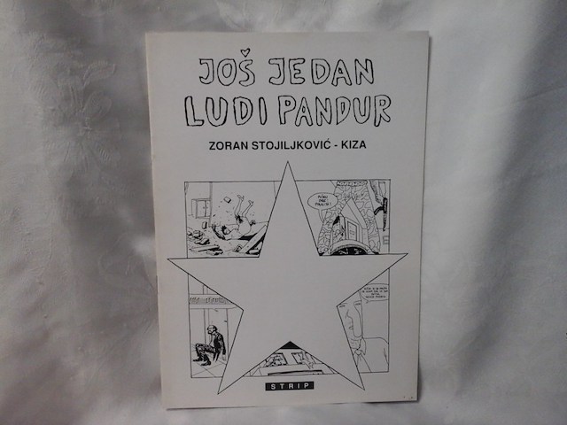 Još jedna ludi pandur Zoran Stojiljković Kiza