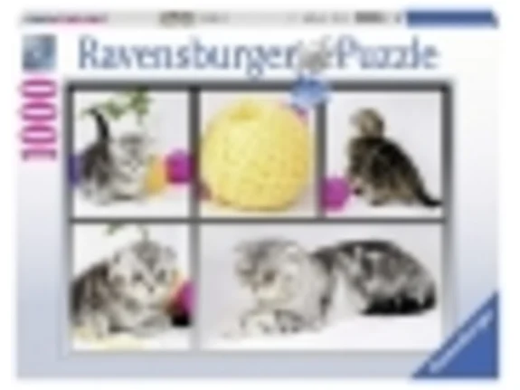 Ravensburger puzzle (slagalice) - Znatizeljni macici