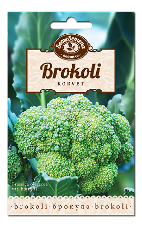 Seme brokoli korvet