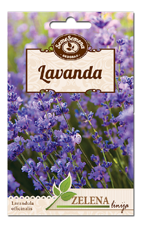 Seme lavanda