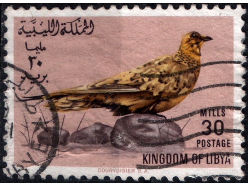 kt538sz 10.feb1965 LibyaKDOf Mi182(-o-)1/6